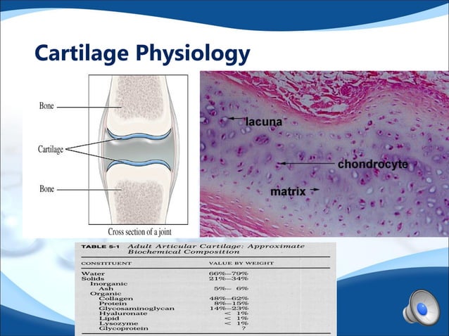 LESS current treatment of cartilage defects | PPT