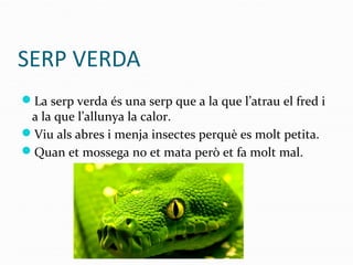 Les serps | PPT