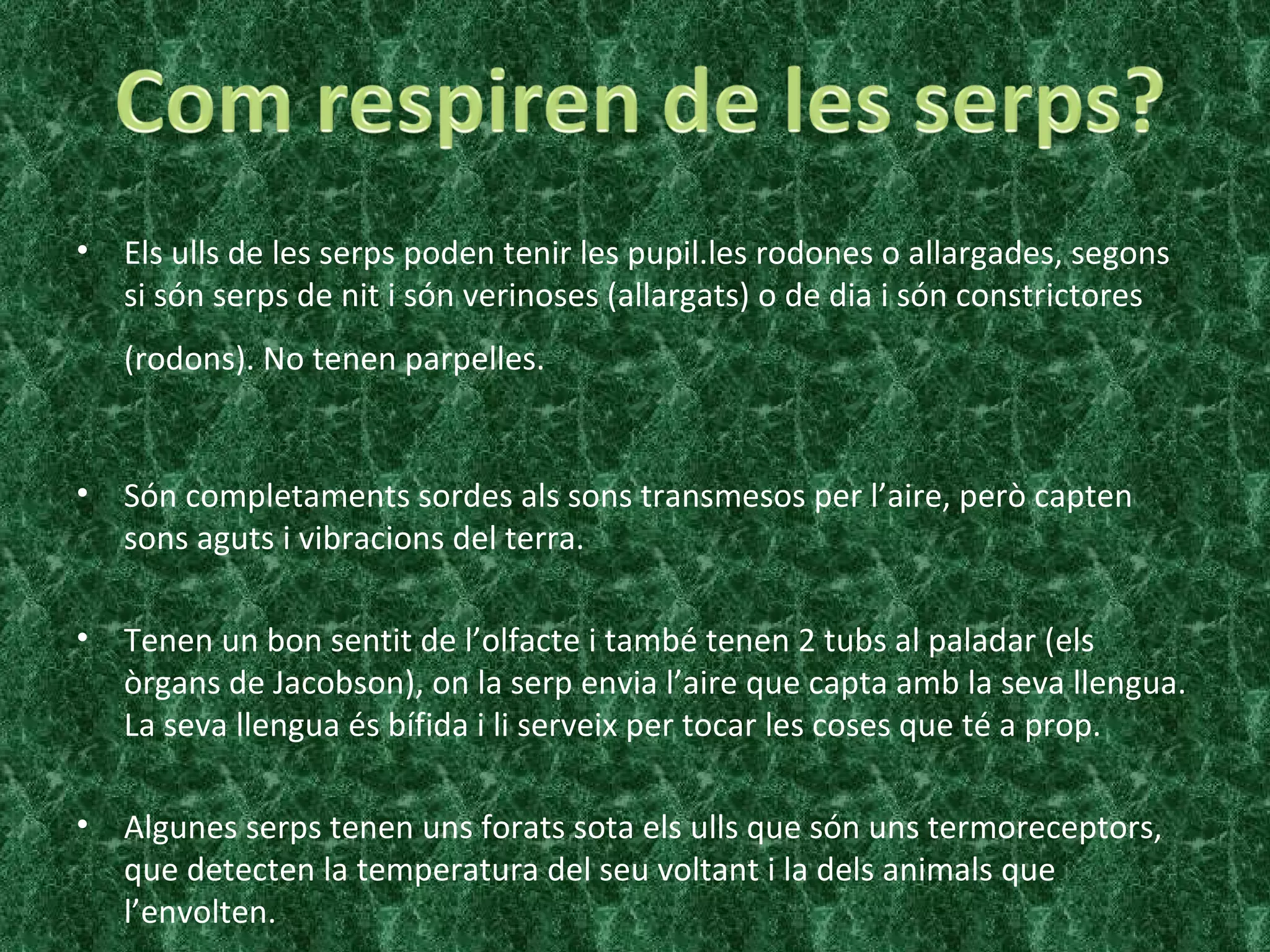 Les serps | PPT