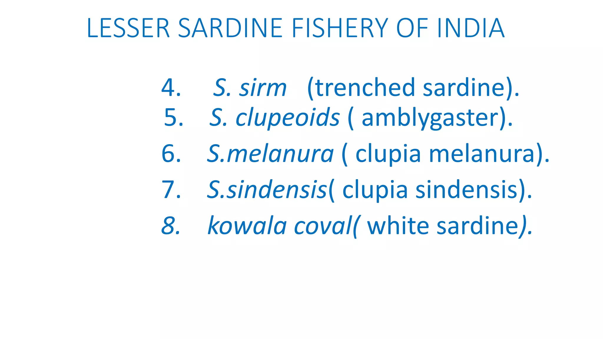 Lesser Sardine Fishery of India | PPTX