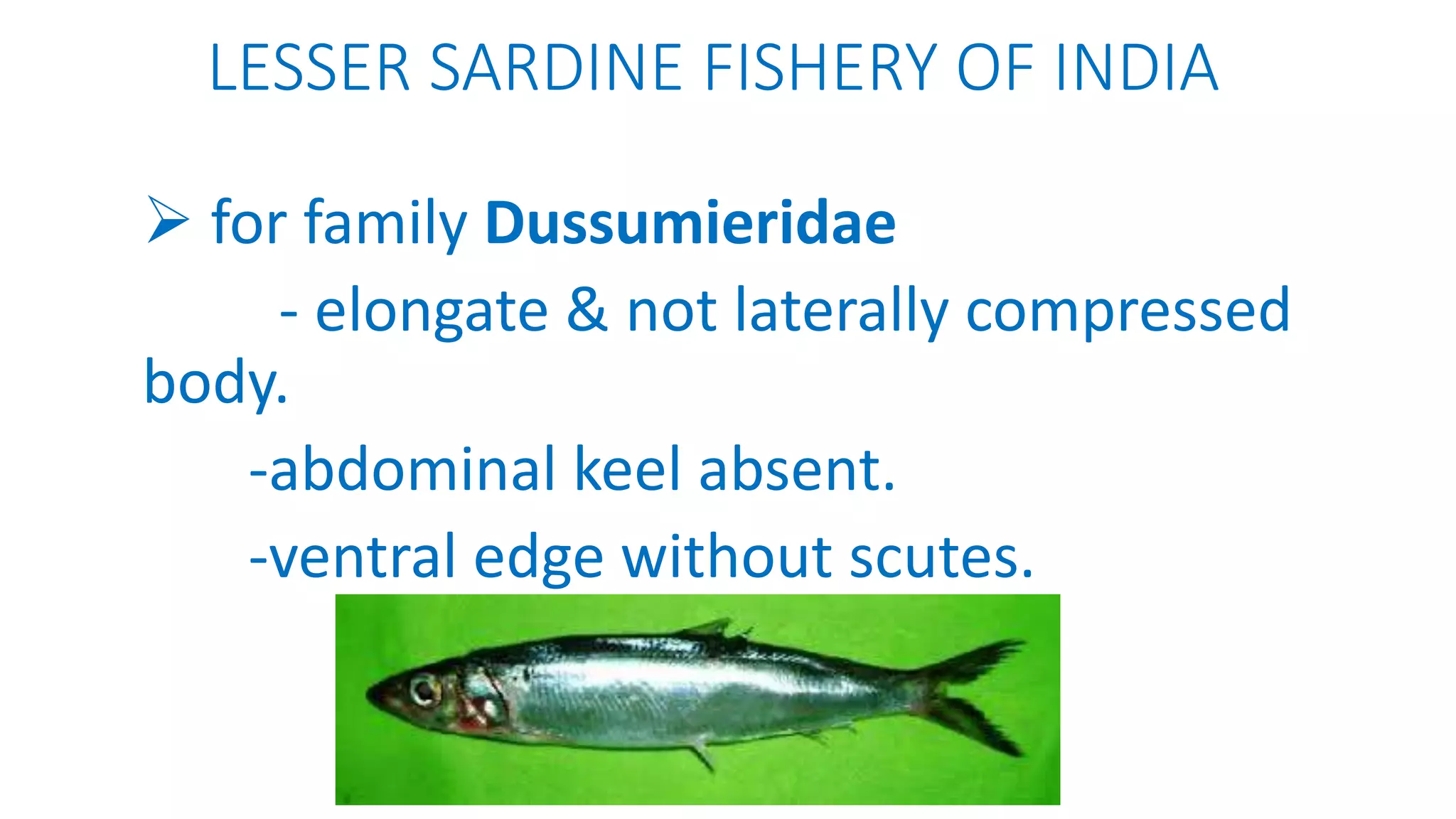 Lesser Sardine Fishery of India | PPTX