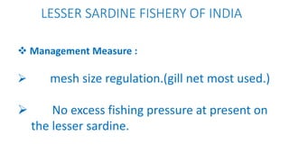 Lesser Sardine Fishery of India | PPTX