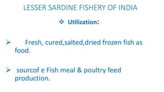 Lesser Sardine Fishery of India | PPTX