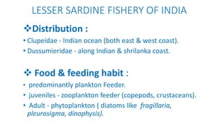 Lesser Sardine Fishery of India | PPTX