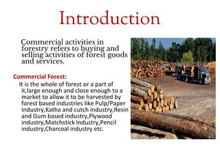 Lesser known forest tree species used for commercial purposes | PPTX
