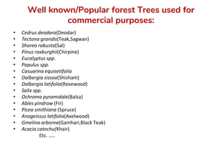 Lesser known forest tree species used for commercial purposes | PPTX