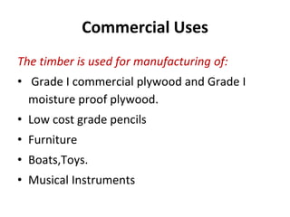 Lesser known forest tree species used for commercial purposes | PPTX