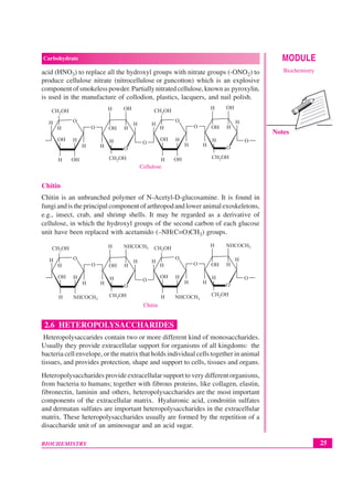 Lesson-02 carbohydrates.pdf | Chemistry | Science