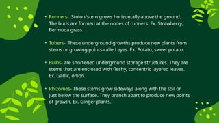Reproductive structures of plants and animals | PPTX