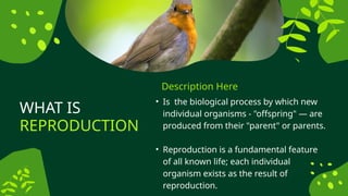 Reproductive structures of plants and animals | PPTX