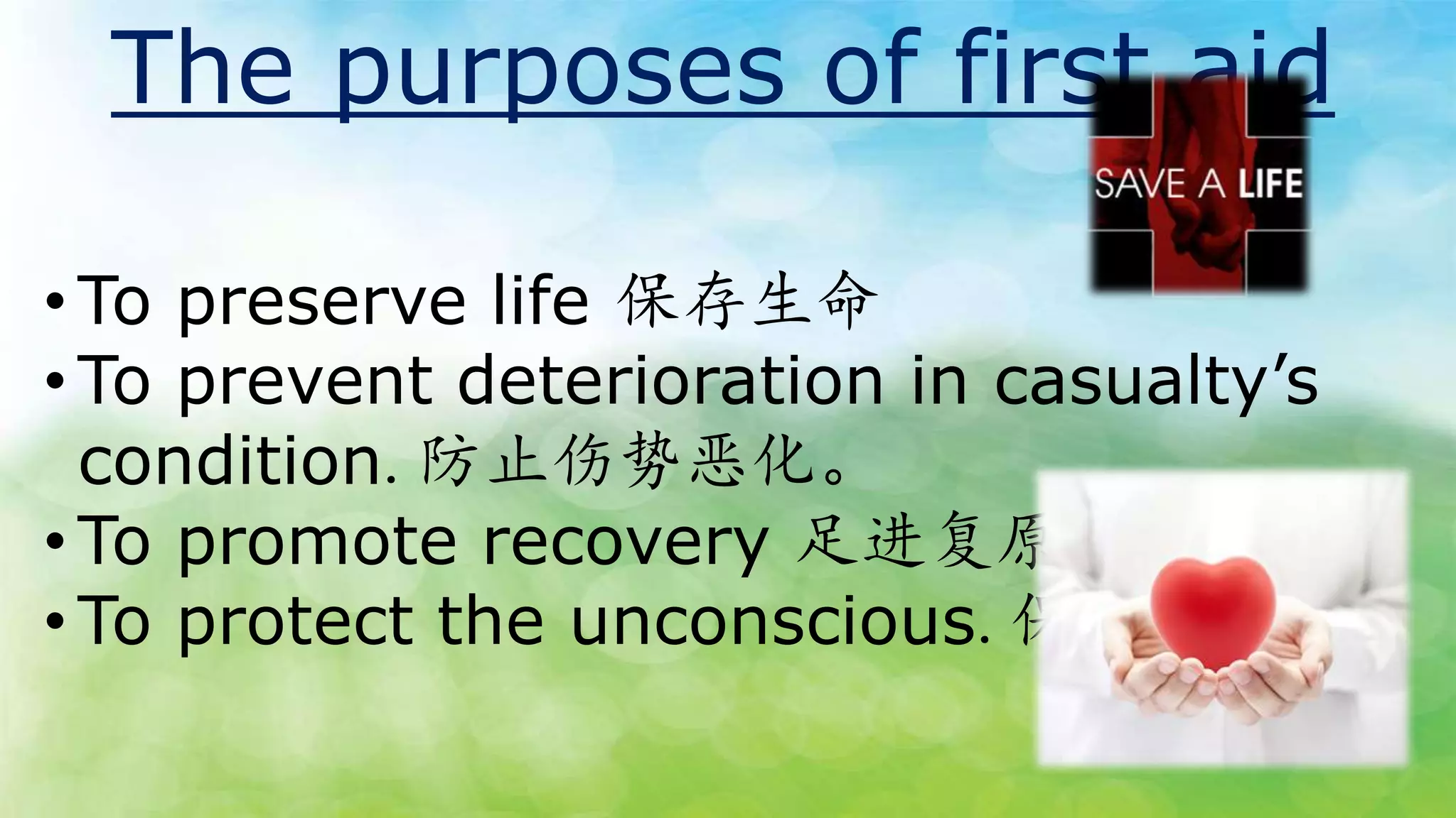 初级组 Lesson 1 | PPTX