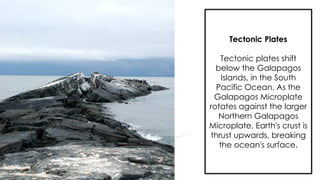 Lesson 1 grade 9 Types of Geography Canada | PPT