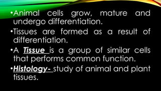 Lesson-1.1-Animals-Specialized-Structure.pptx