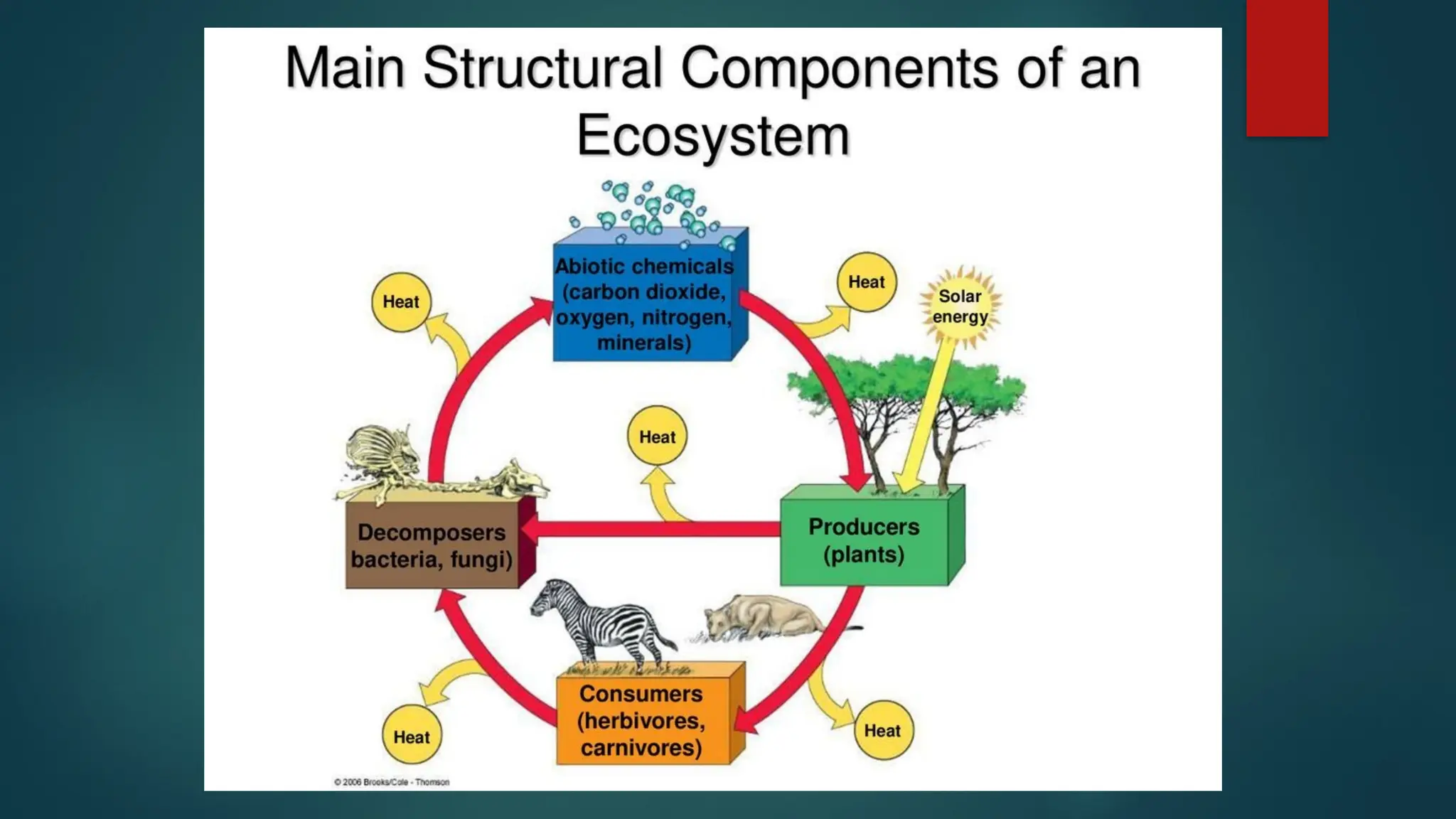 Lesson-1-Earths-Ecosystem, Lesson 1and 2 | PPTX