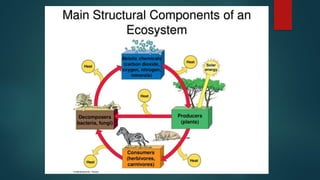 Lesson-1-Earths-Ecosystem, Lesson 1and 2 | PPTX