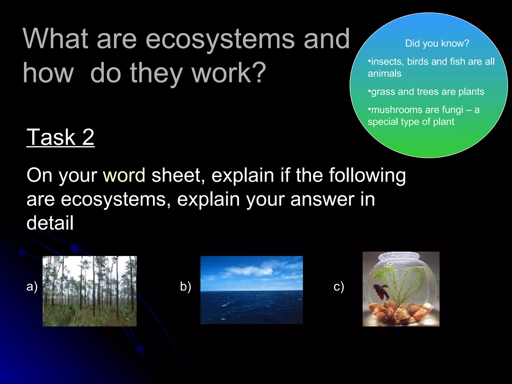 Lesson 1 Ecosystems | PPT