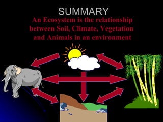 Lesson 1 Ecosystems | PPT