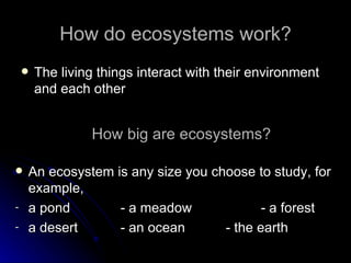 Lesson 1 Ecosystems | PPT