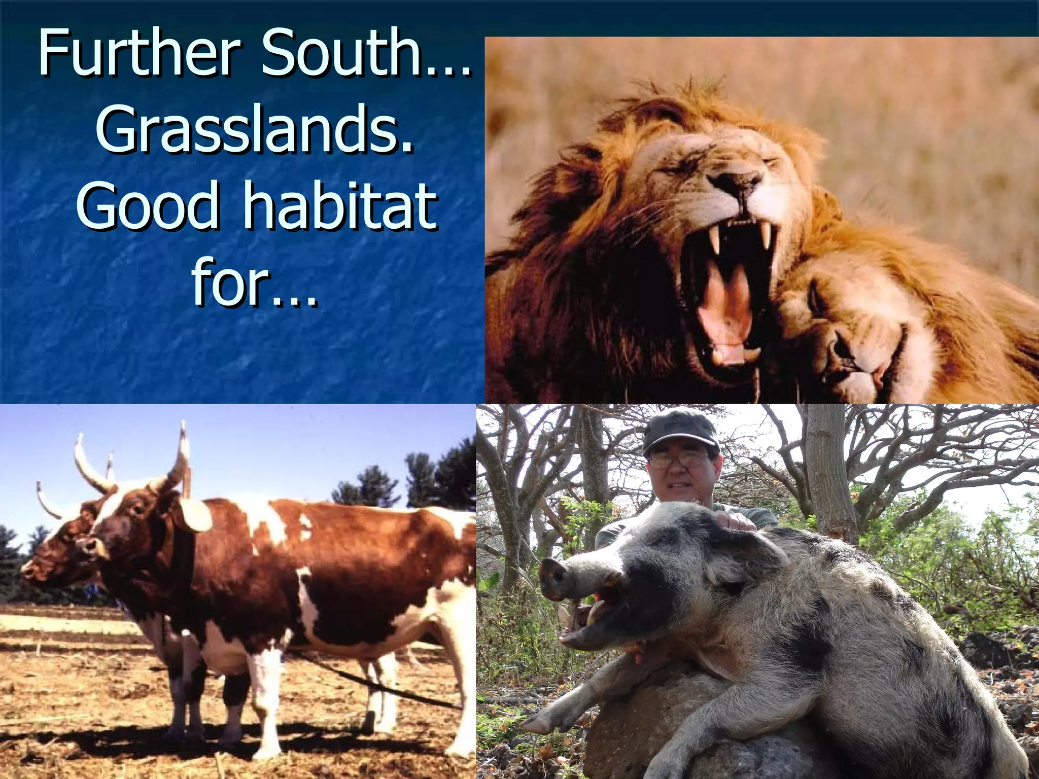 Lesson 1 Fertile Crescent | PPT | Geography | Science