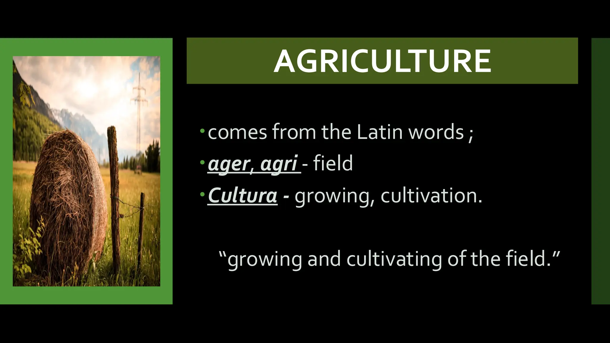 LESSON-1 introduction in agriculture and fishery arts | PDF