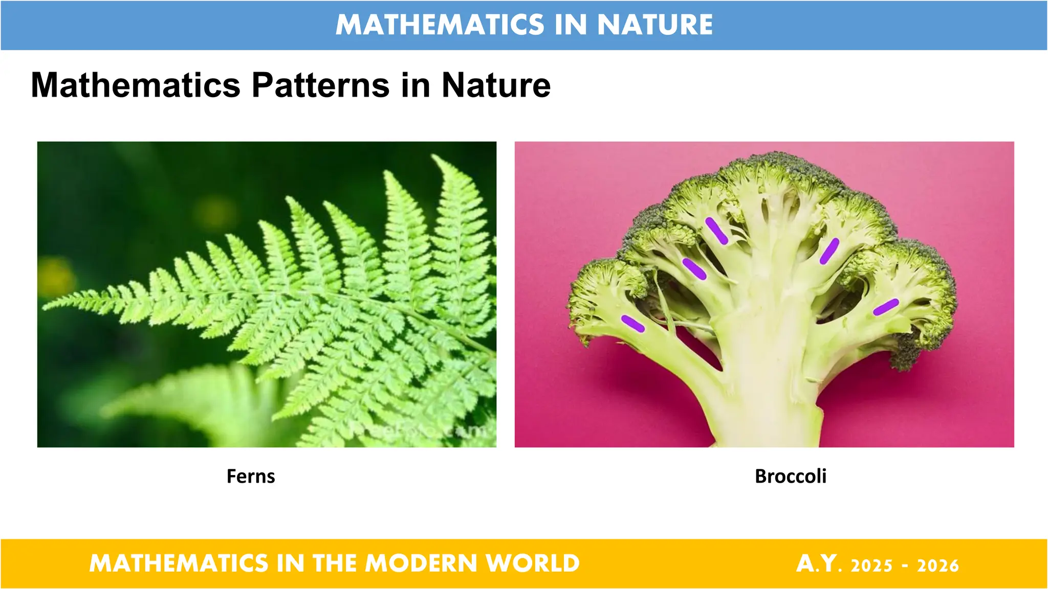 LESSON-1-Math 111-Mathematics-in-Nature.pdf