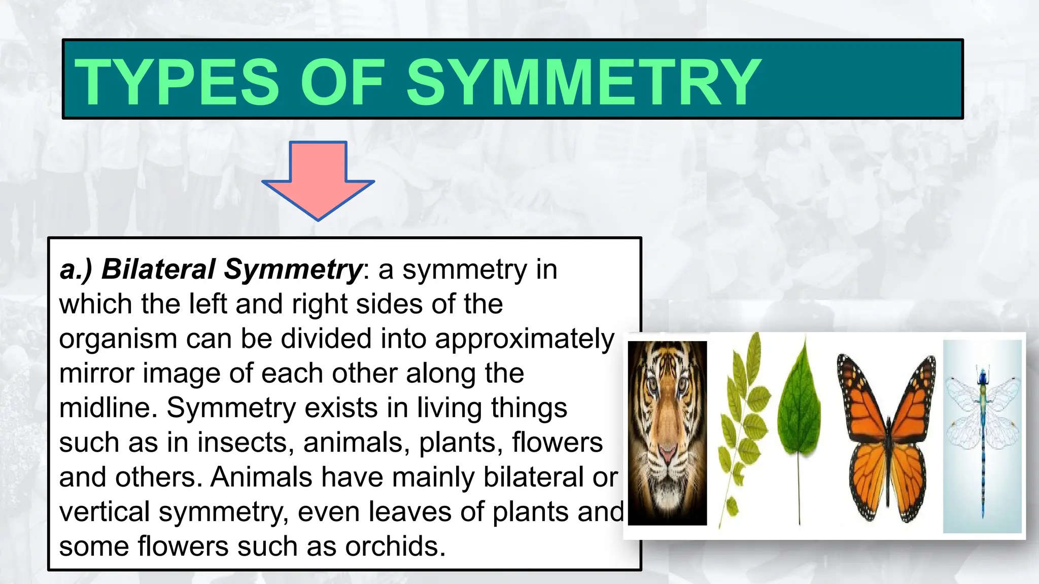 LESSON-1-MATHEMATICS-IN-THE-MODERN-WORLD (2).pptx
