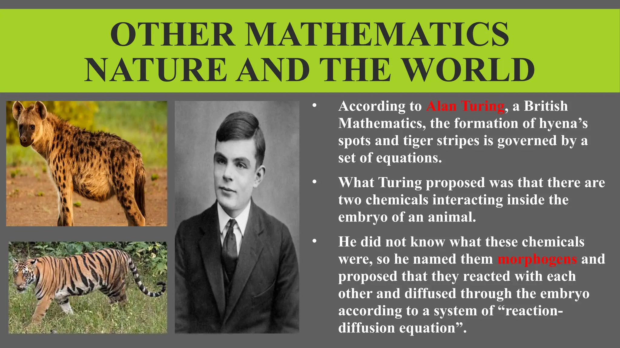 LESSON-1-NATURE-OF-MATHEMATICS. mathematics in modern world | PPTX