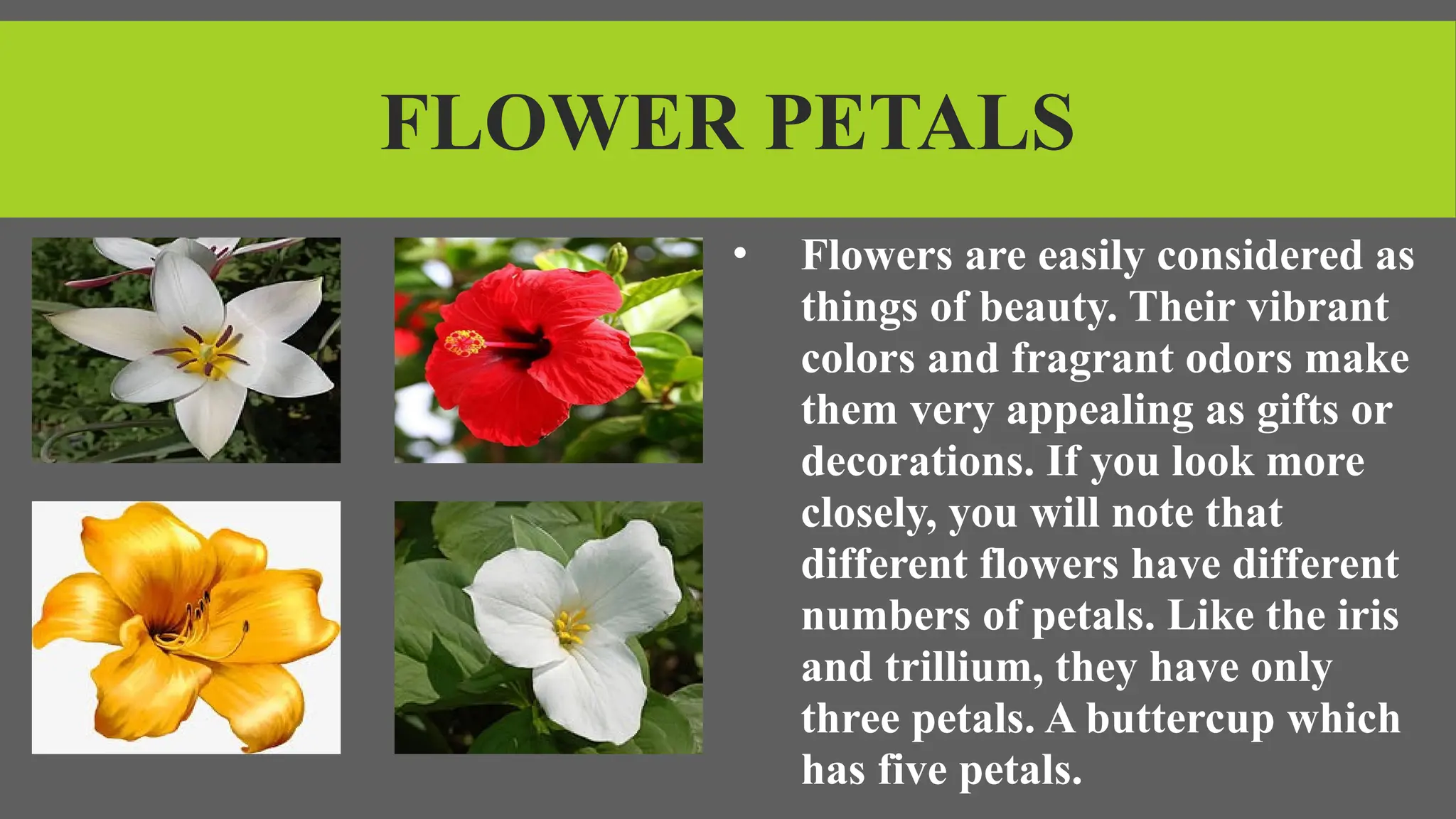 Lesson 1 Nature Of Mathematics Mathematics In Modern World Pptx