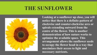 LESSON-1-NATURE-OF-MATHEMATICS. mathematics in modern world | PPTX