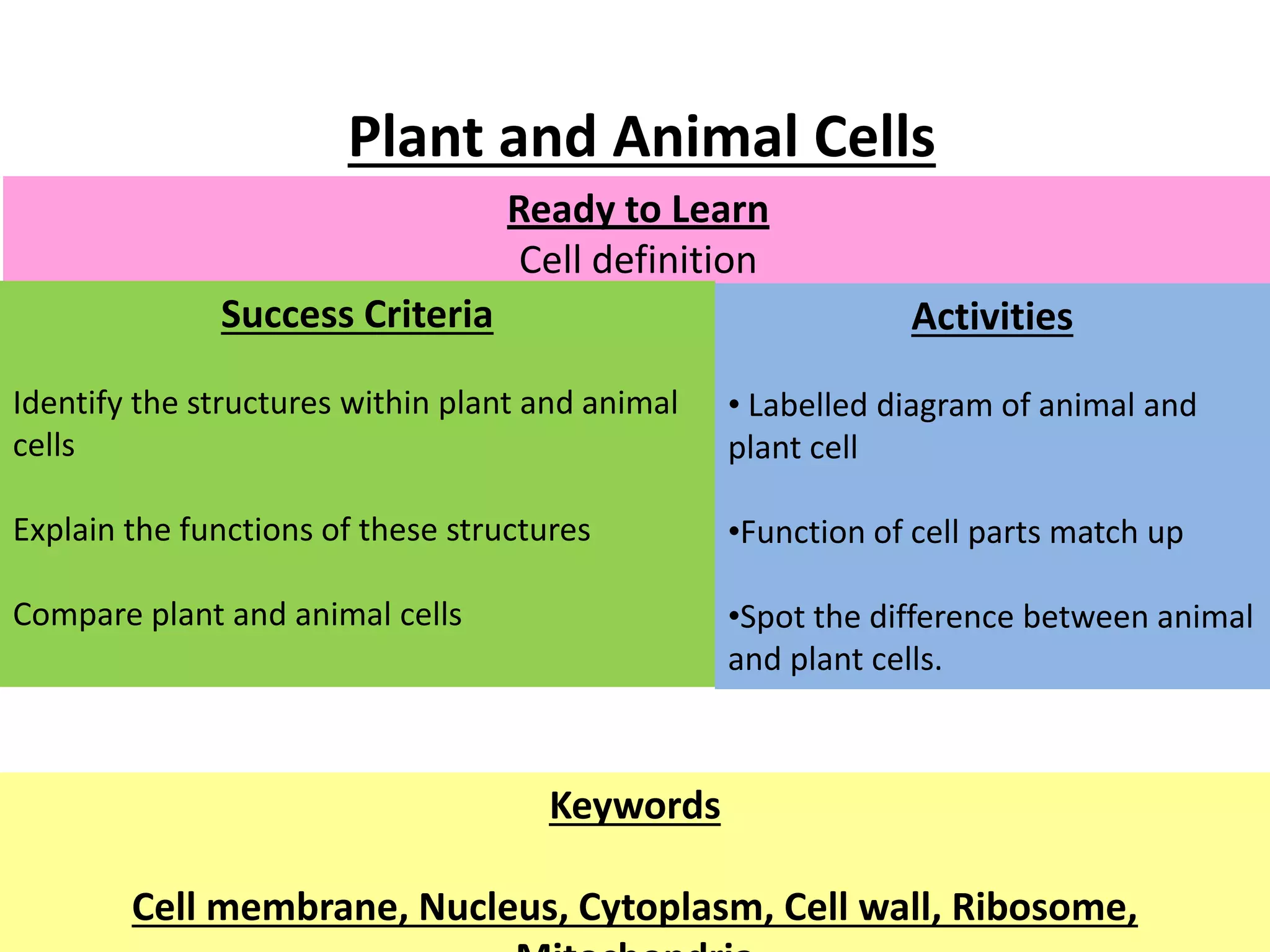 Lesson 1-plant-and-animal-cells (1) | PPTX