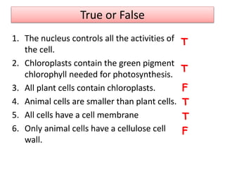 Lesson 1-plant-and-animal-cells (1) | PPT