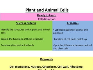 Lesson 1-plant-and-animal-cells (1) | PPT