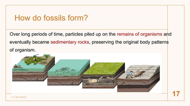 Lesson-1-The-Concept-of-Life-Based-on-the-Emerging-Pieces-of-Evidence.pptx