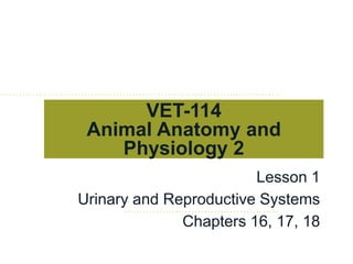 Lesson-1-Urinary-and-Reproductive-Systems.pdf