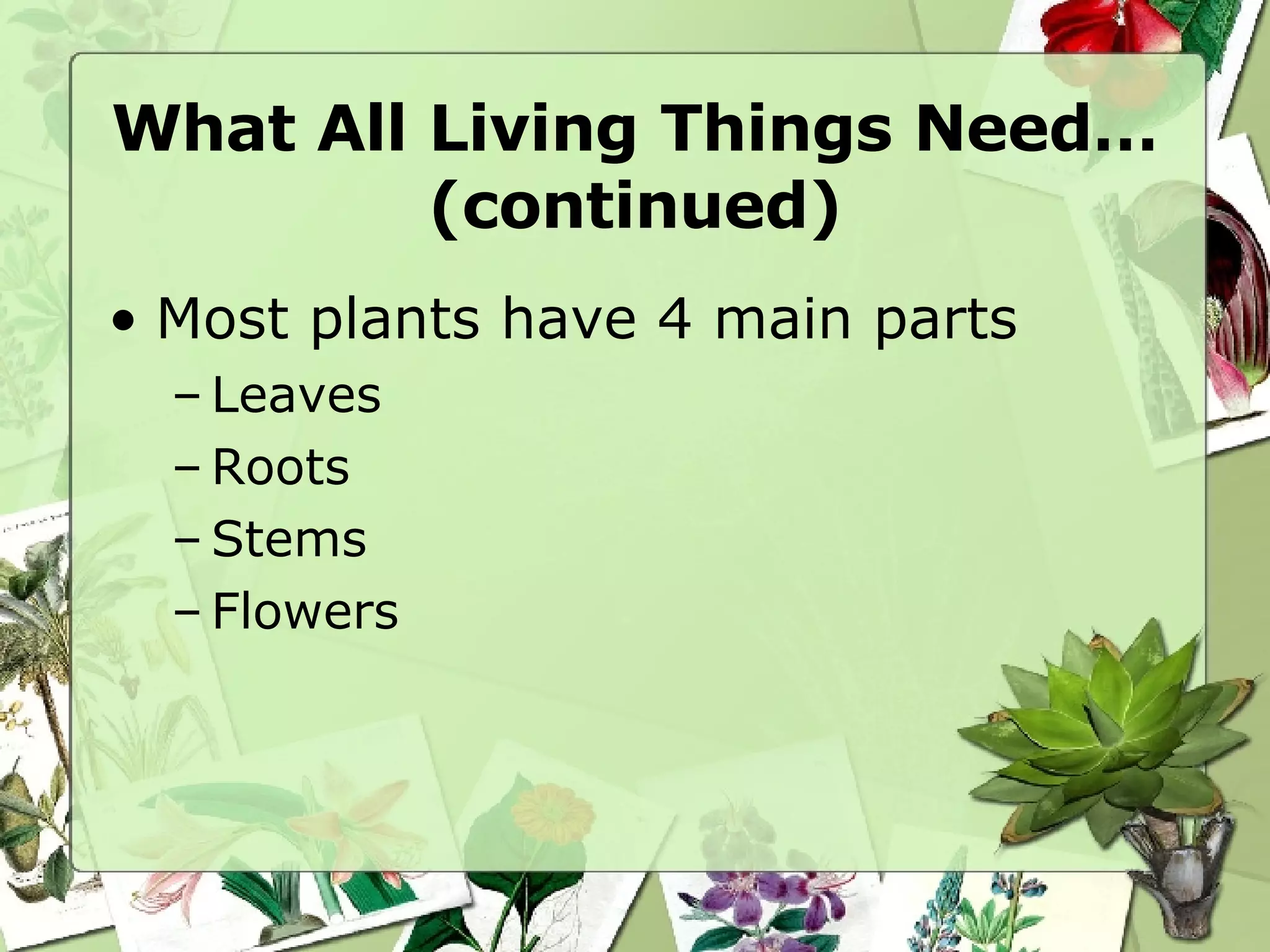 Lesson 1 What Are The Main Parts Of A Plant | PPT