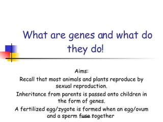 Lesson 1 What Is Inheritance | PPT