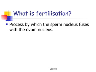 Lesson 1 What Is Inheritance | PPT