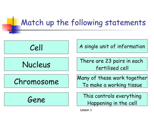 Lesson 1 What Is Inheritance 2 | PPT