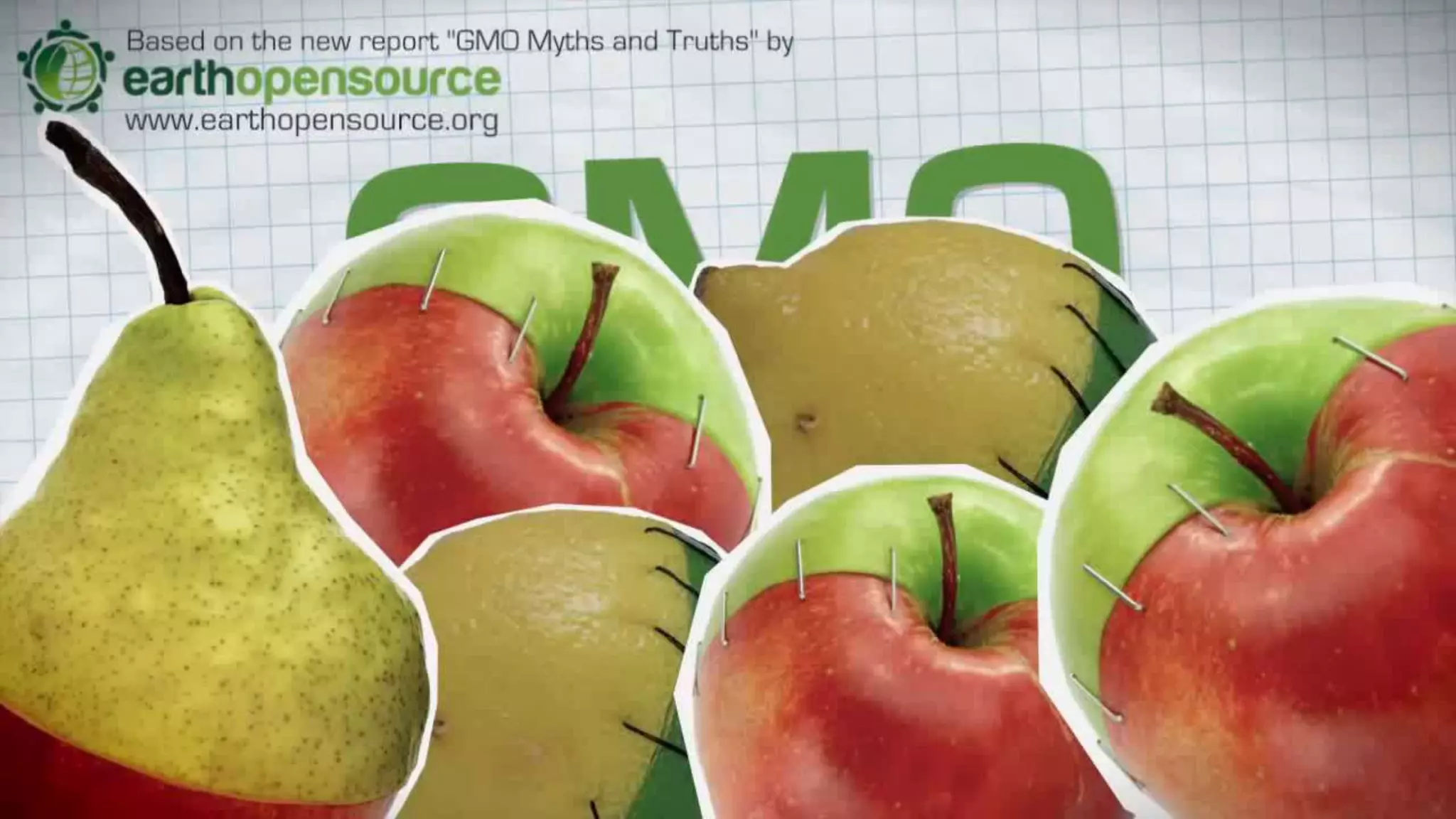 lesson-10-Genetically-Modified-Organisms.ppt