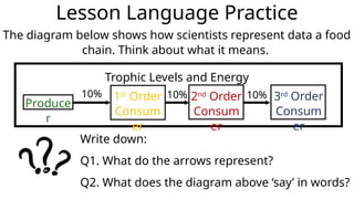 Lesson-10-Trophic-Levels-and-Losing-Energy-The-Food-Web (1).pptx