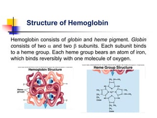 blood and blood cell | PPT