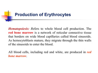 blood and blood cell | PPT