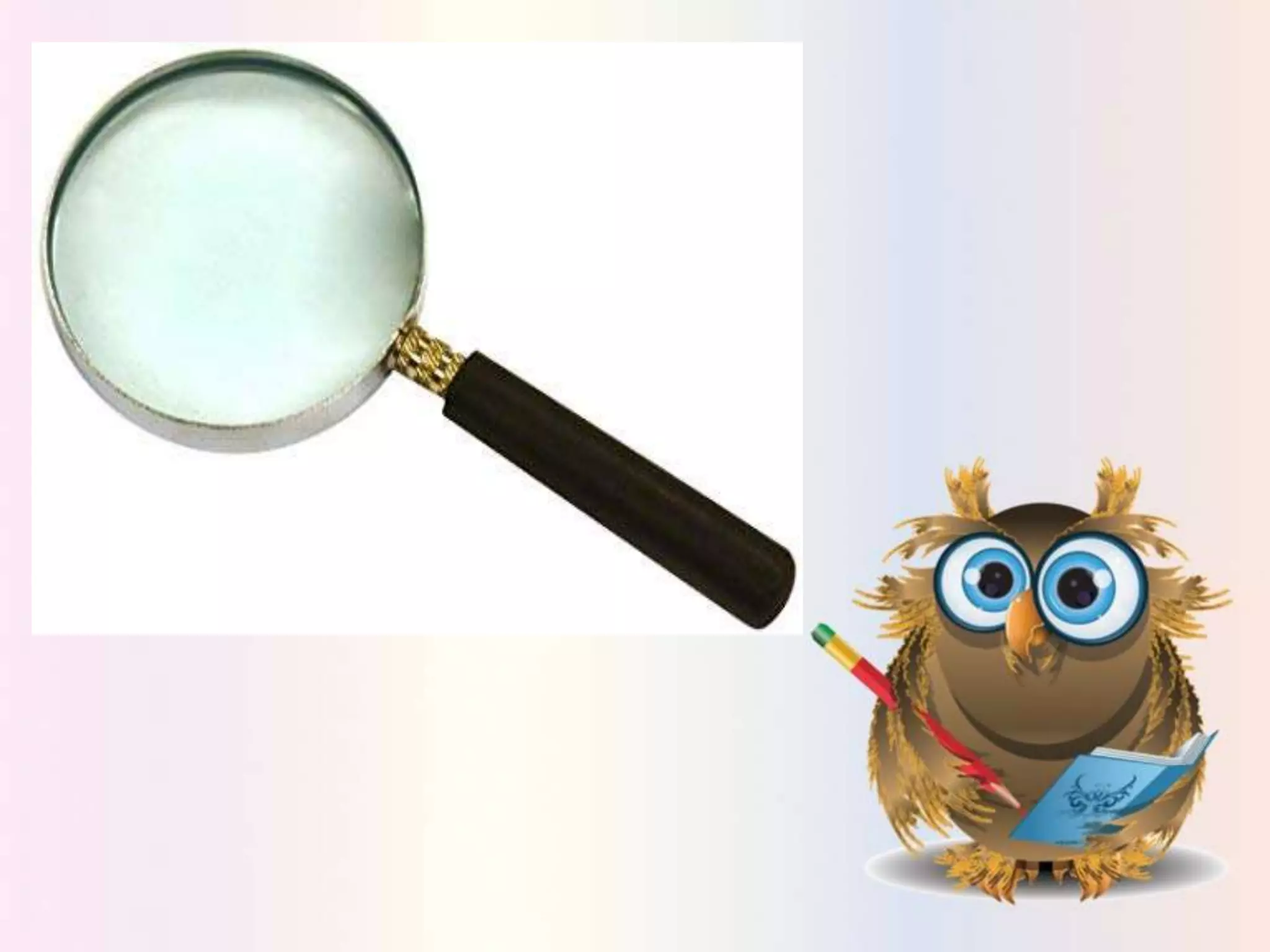 LESSON-12-FINDING-ANSWER-THROUGH-DATA-COLLECTION.pptx