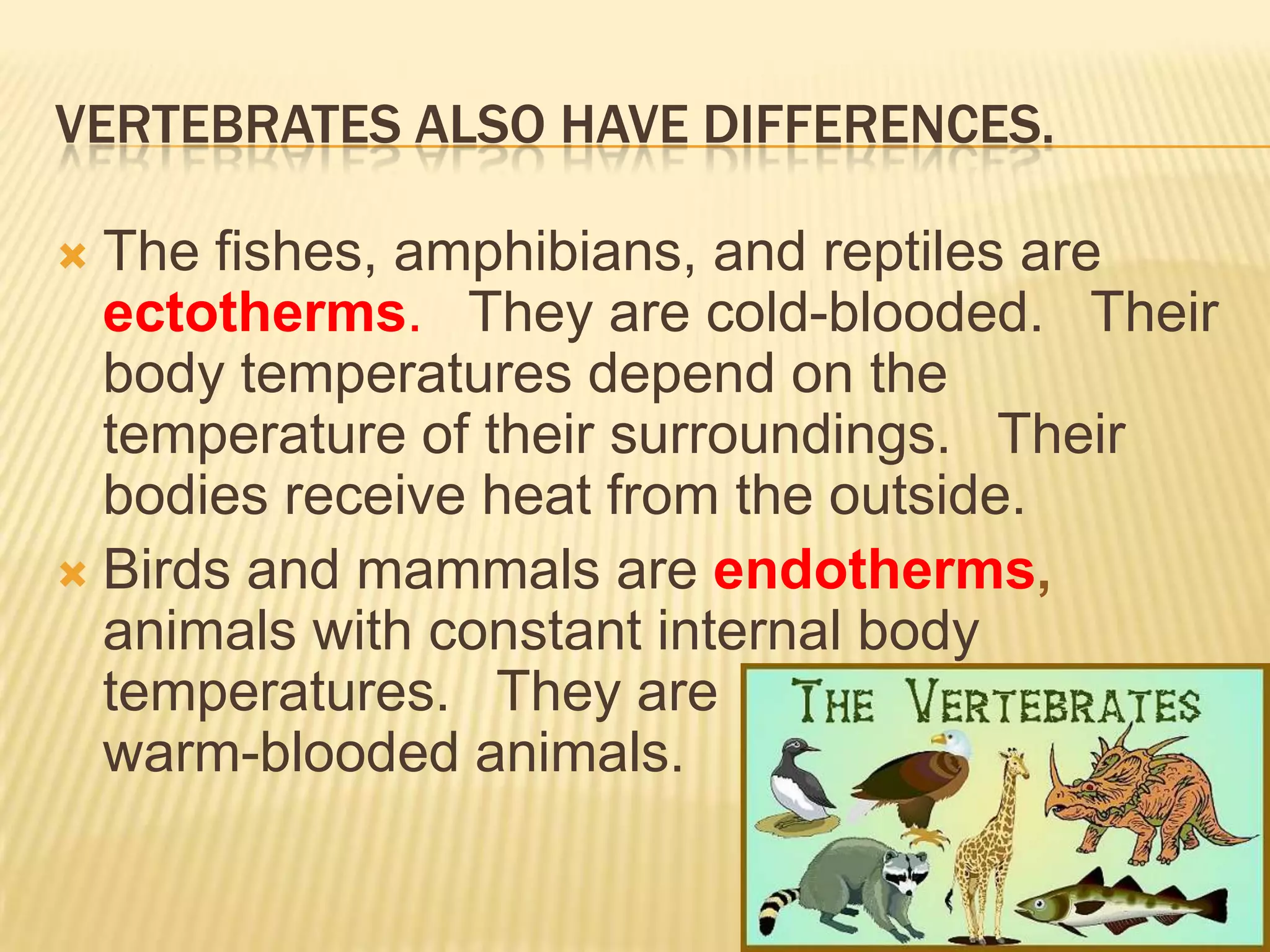 Lesson about Animal Groups | PPTX