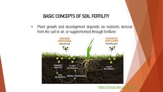 Lesson-13-Soil-Fertility-and-Productivity-1.pdf | Infertility ...