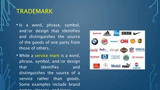 Lesson-13_IT-REPORT.pptx. Information technology | PPTX
