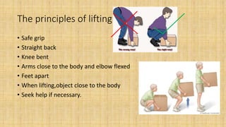 初级组 Lesson 15 | PPT