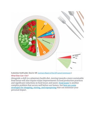 Lesson-16-Balanced-Diet home economics importants | PDF