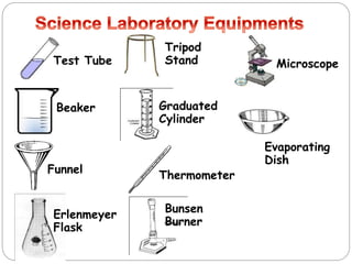 science, cells, plants, matter | PPT