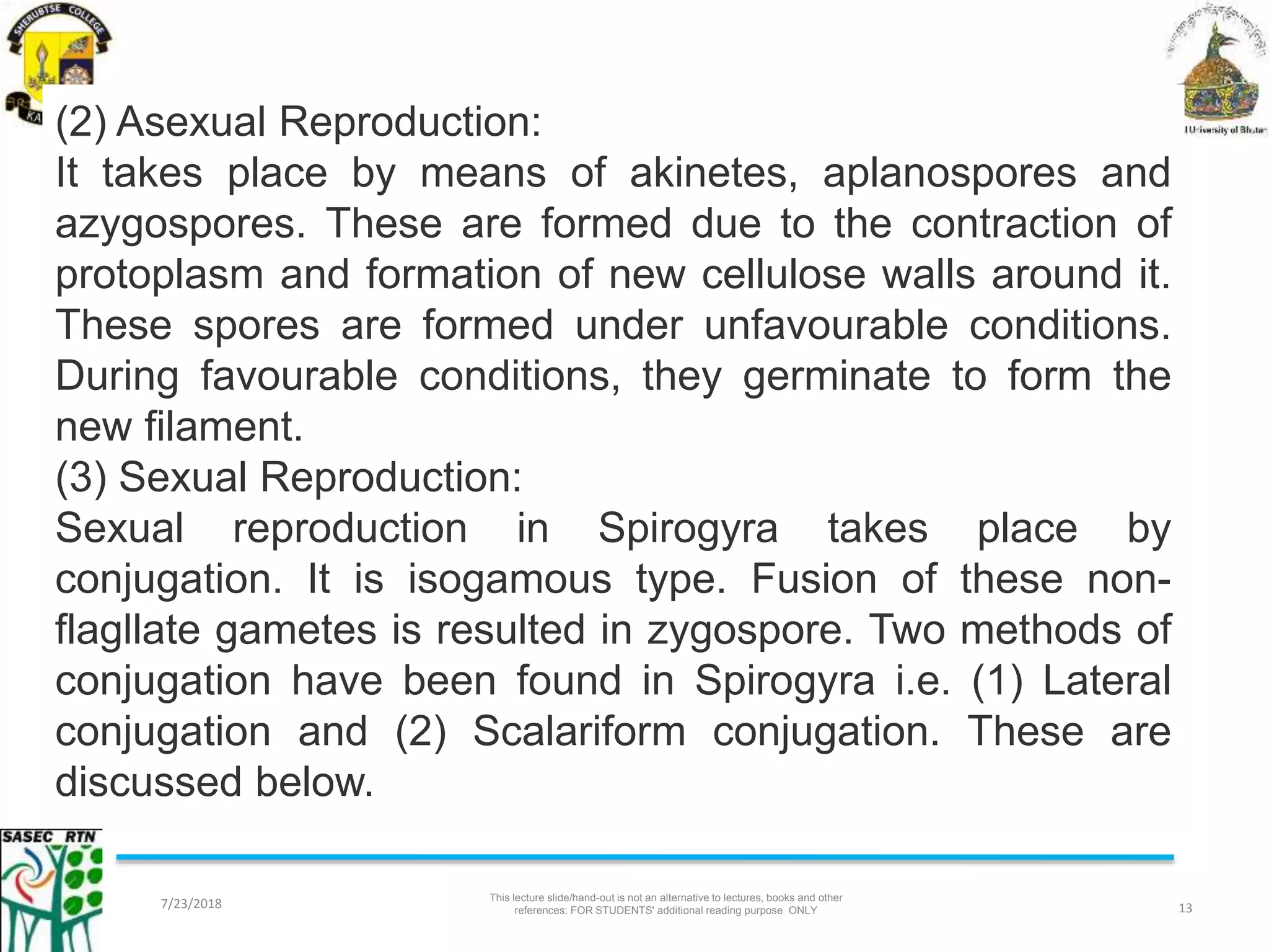 Spirogyra | PPTX | Infertility | Reproductive Health